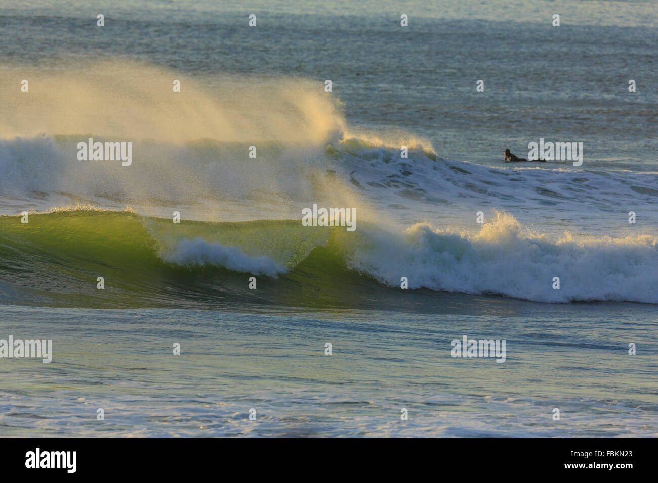 background, backlit, beach, beautiful, blue, carmel, coast, coastal ...