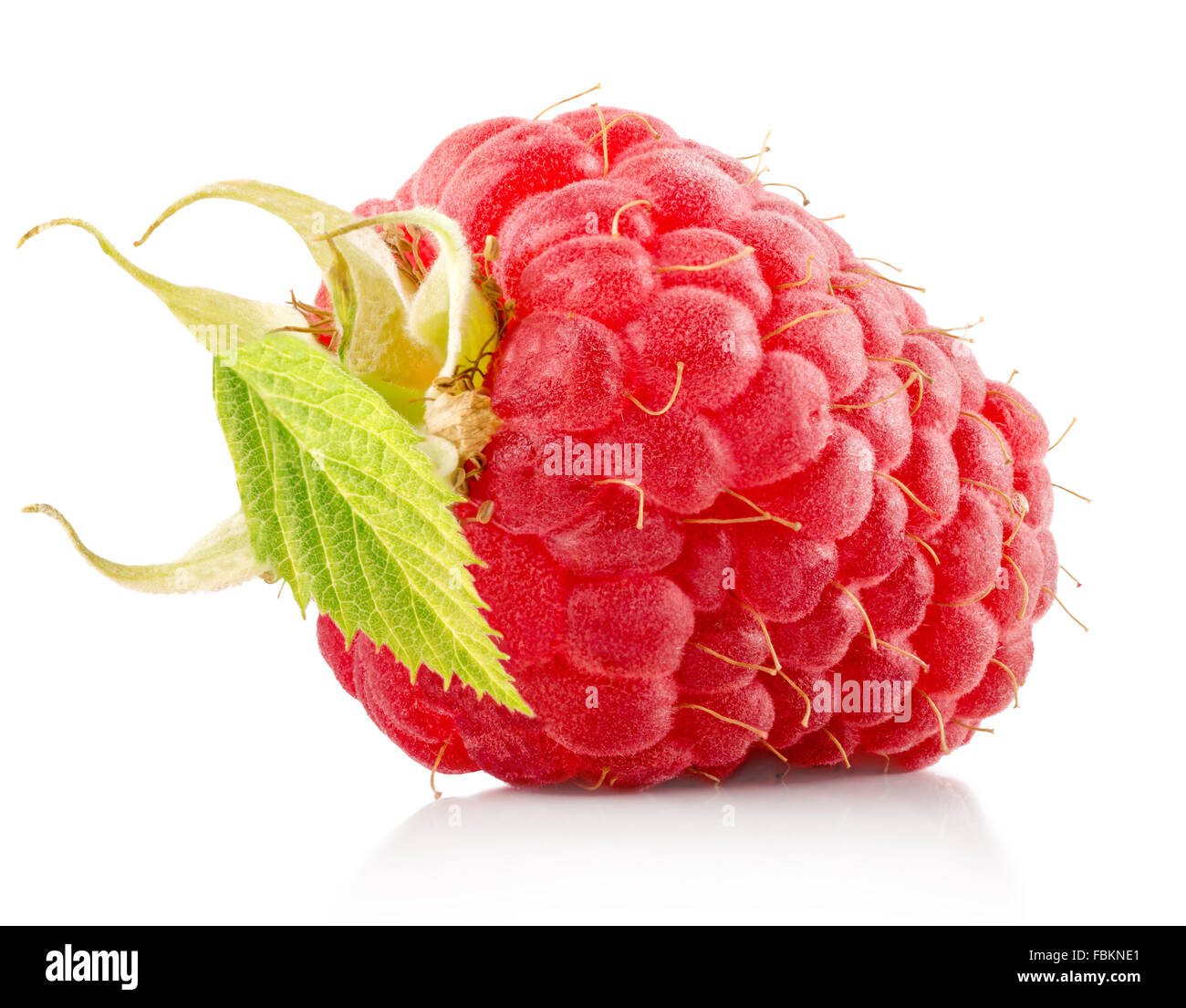 raspberry isolated on the white background Stock Photo - Alamy