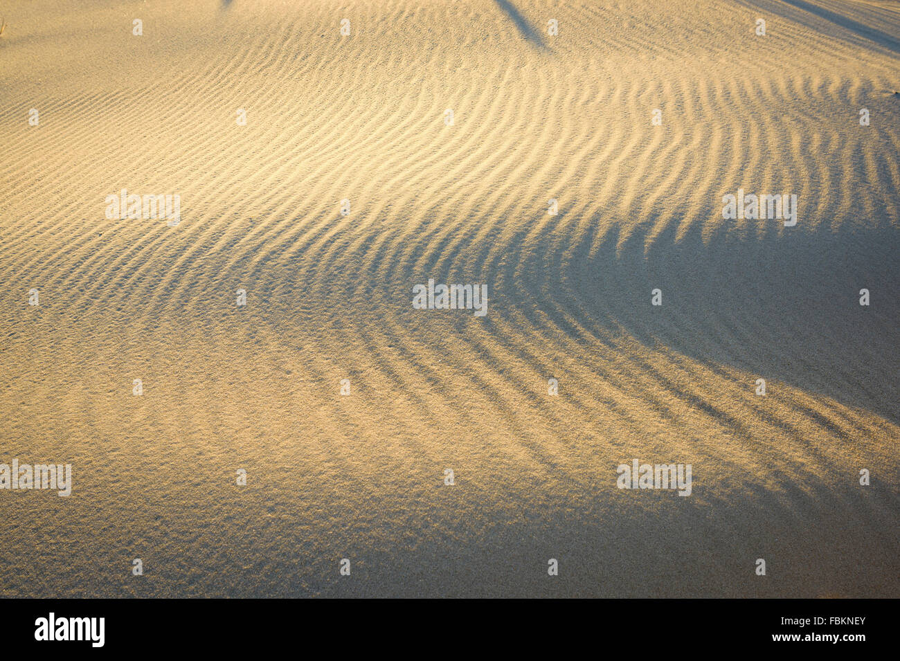 Patterns in the sand Cape May New Jersey Stock Photo - Alamy