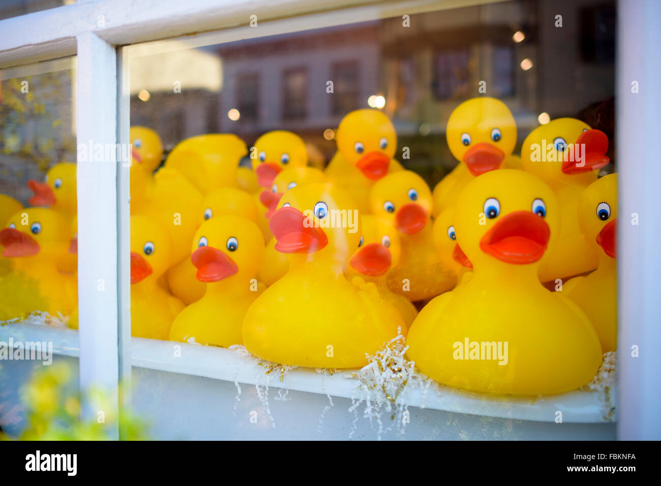 Rubber ducks toys hi-res stock photography and images - Alamy