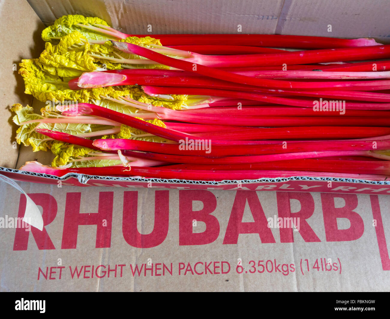Rhubarb triangle hi-res stock photography and images - Alamy