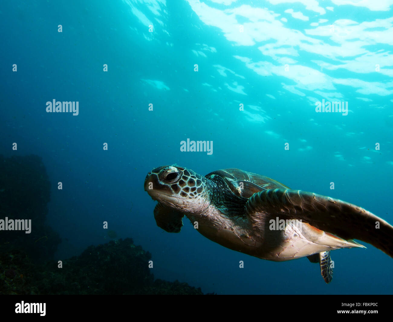 Julian rocks byron hi-res stock photography and images - Alamy