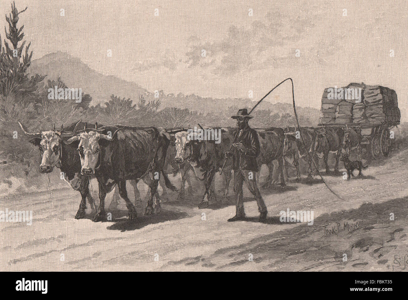 Victoria camperdown hi-res stock photography and images - Alamy