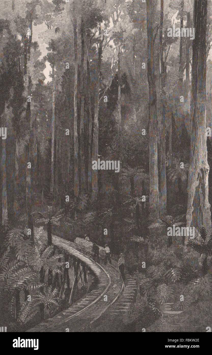 Antique log hi-res stock photography and images - Alamy