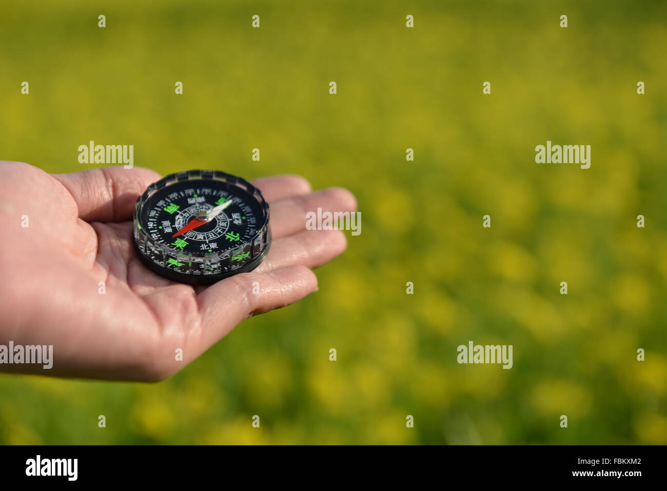 compass, directions, drive, driving, highways, lost, map, maps ...