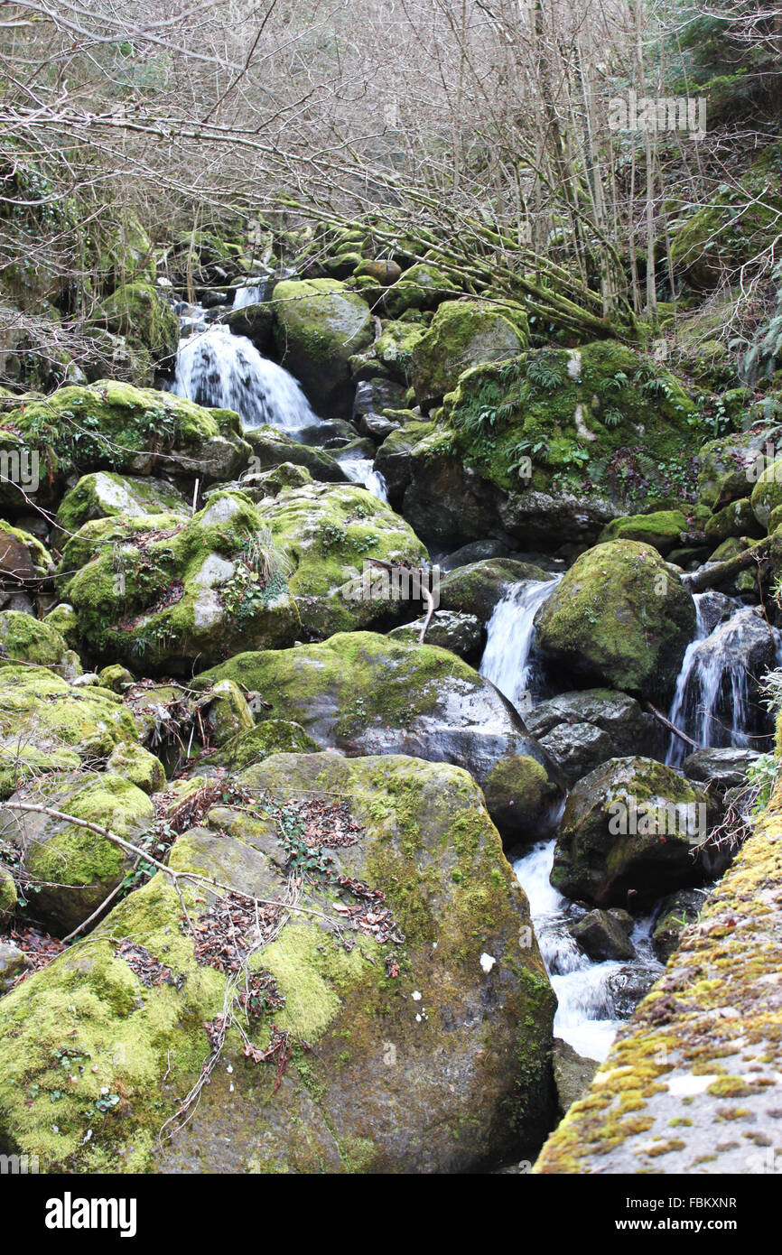 Impression of a little river - magic nature Stock Photo - Alamy