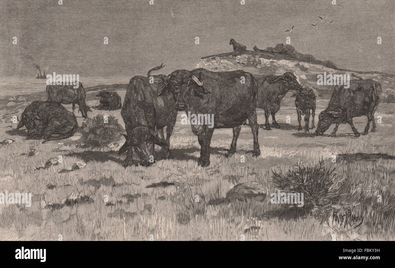 Port essington hi-res stock photography and images - Alamy