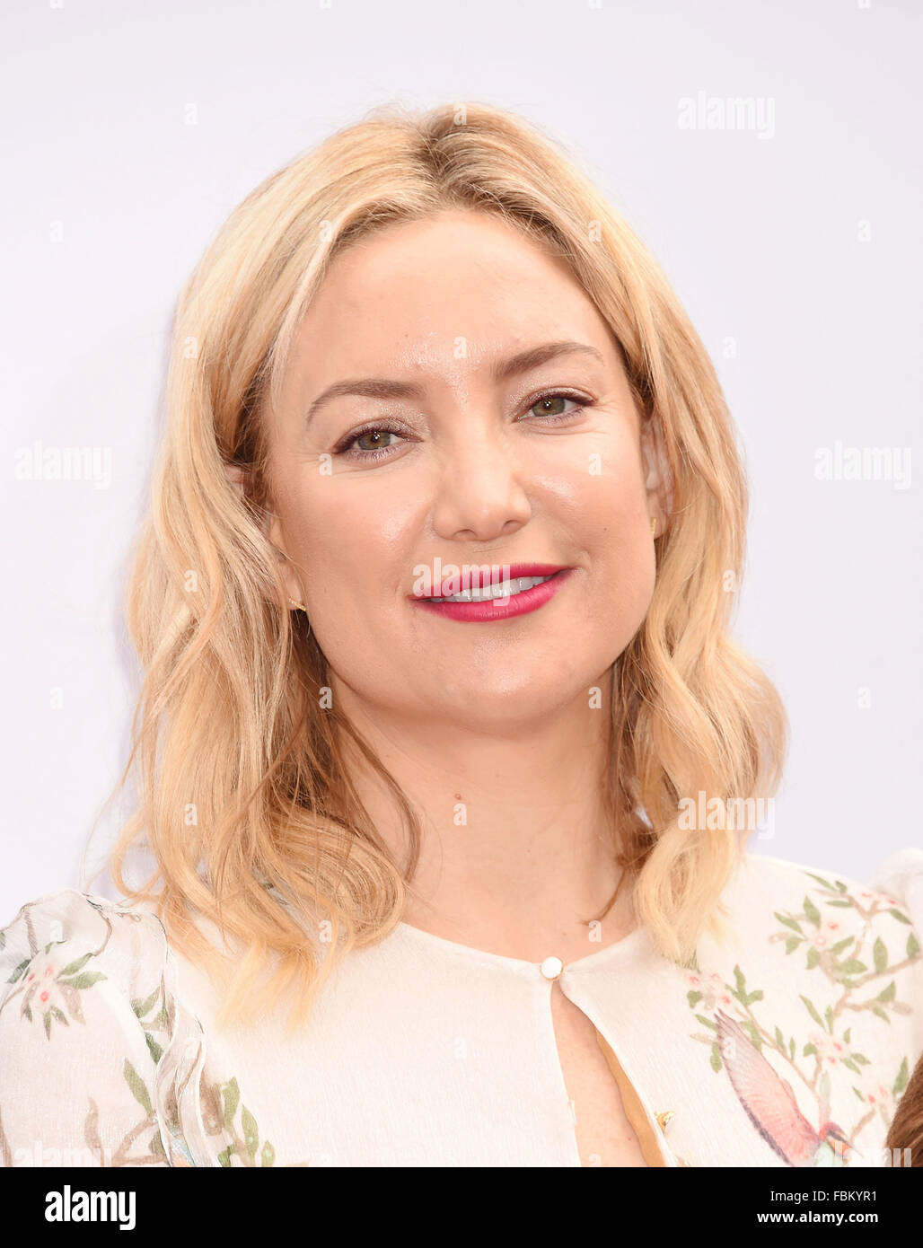 KATE HUDSON US film actress in January 2016. Photo Jeffrey Mayer Stock ...
