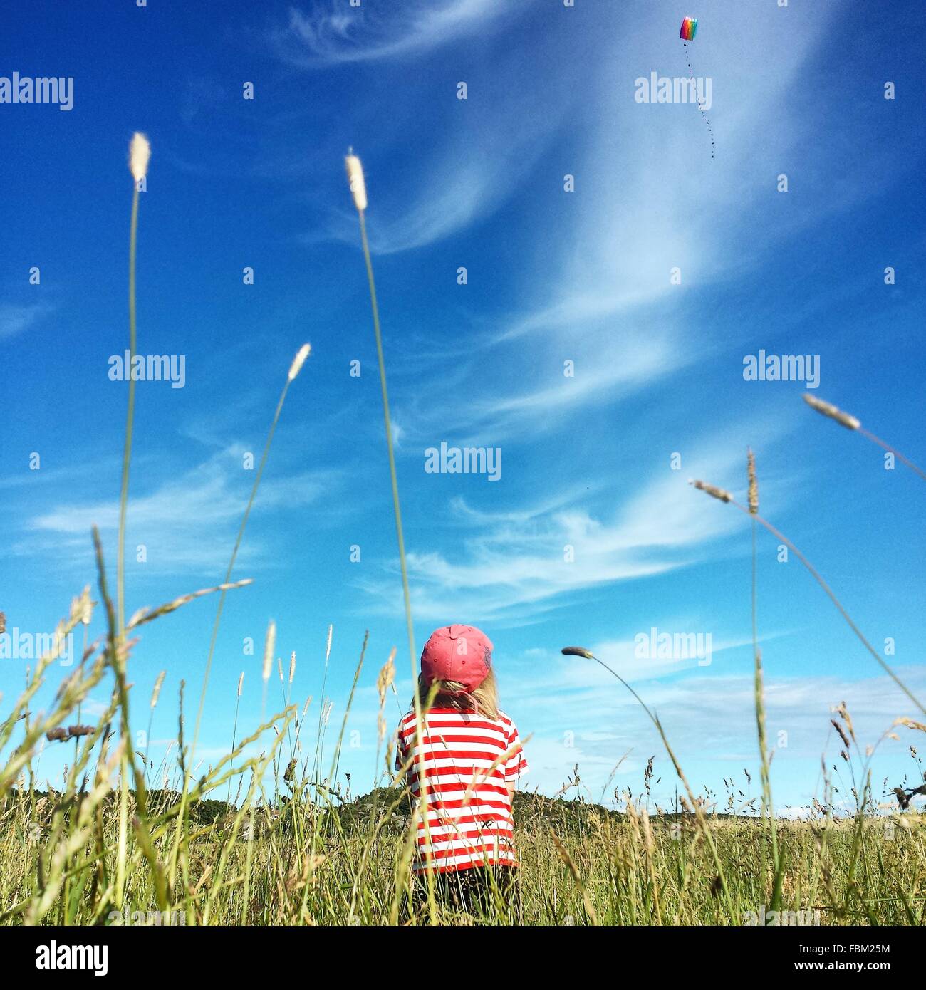 Boys in field flying kite hi-res stock photography and images - Alamy