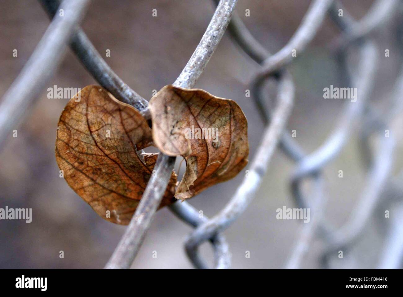 Change link hi-res stock photography and images - Alamy