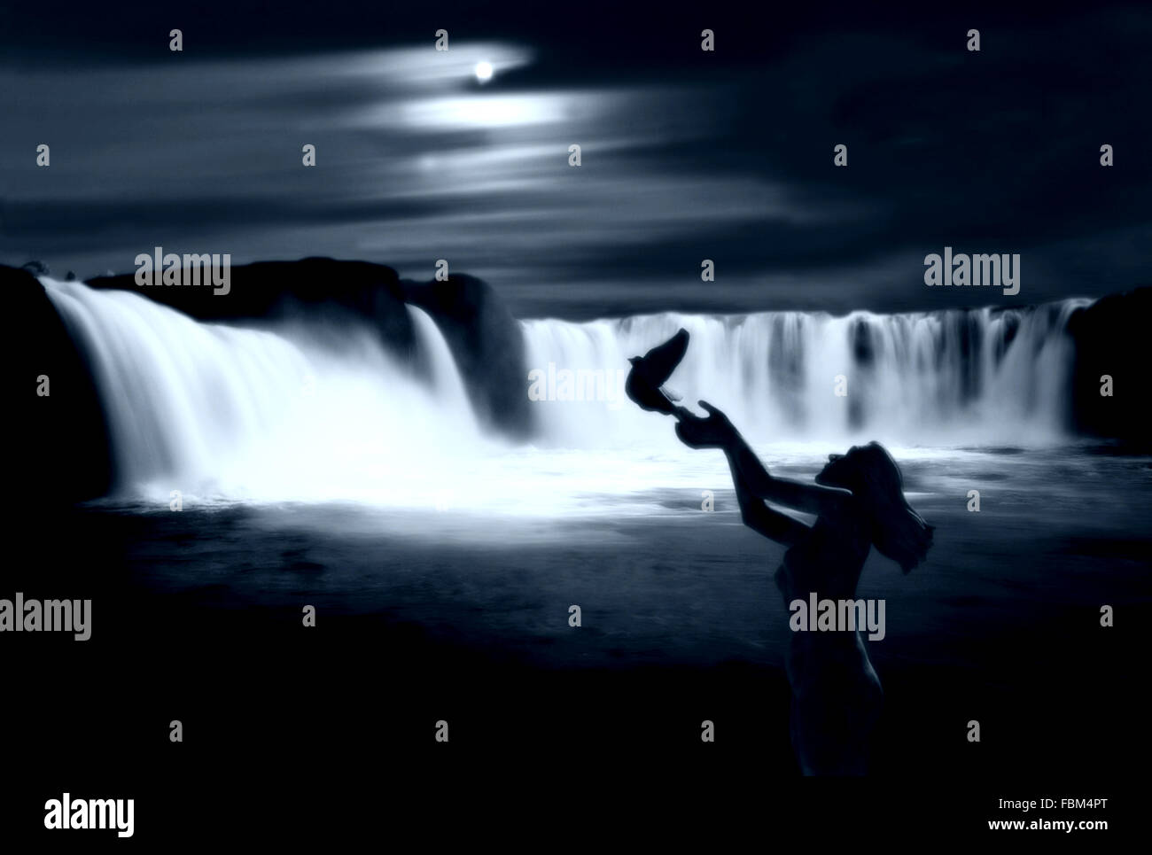 Woman releasing bird High Resolution Stock Photography and Images - Alamy