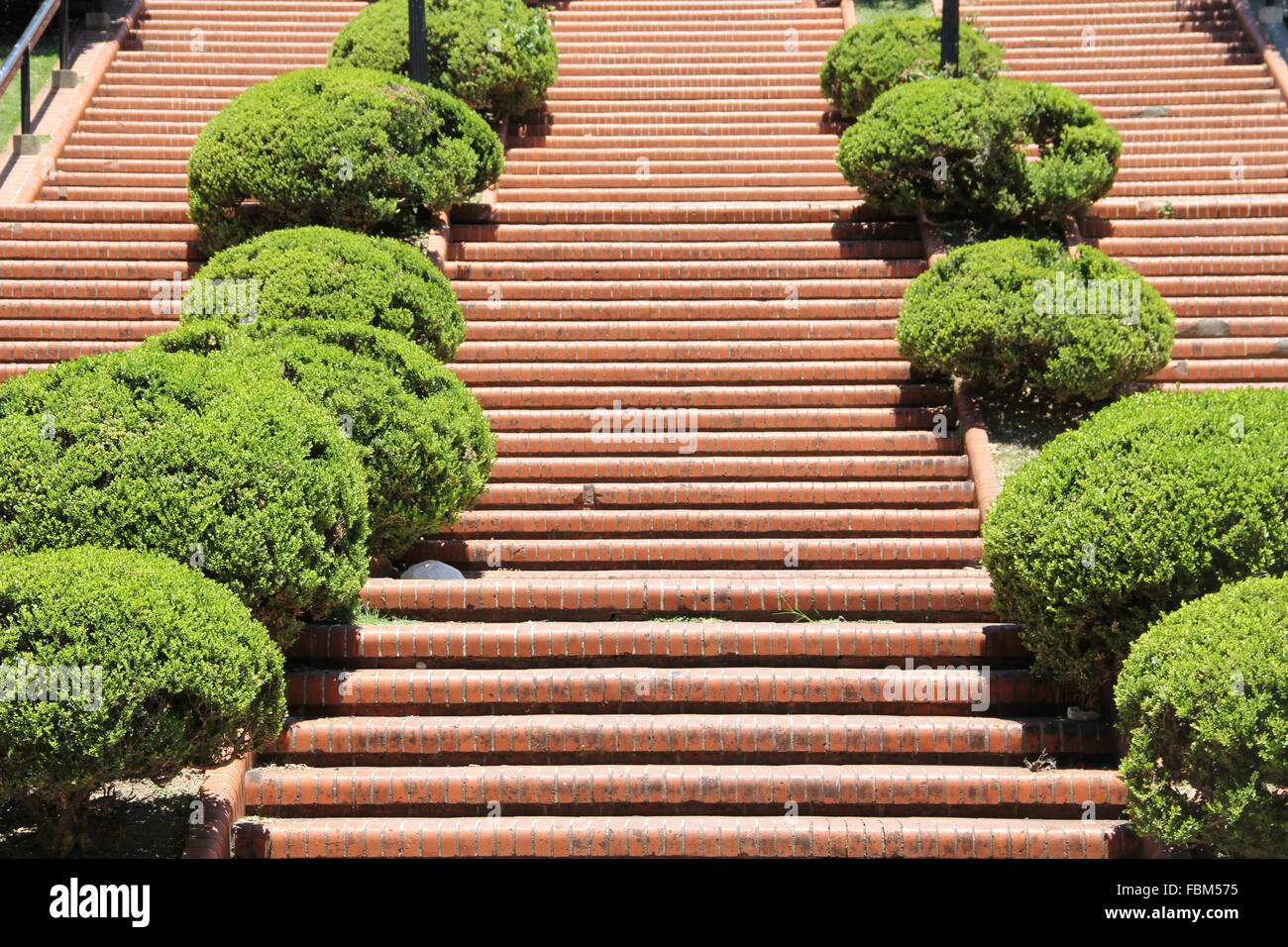 Plant a hedge steps hi-res stock photography and images - Alamy