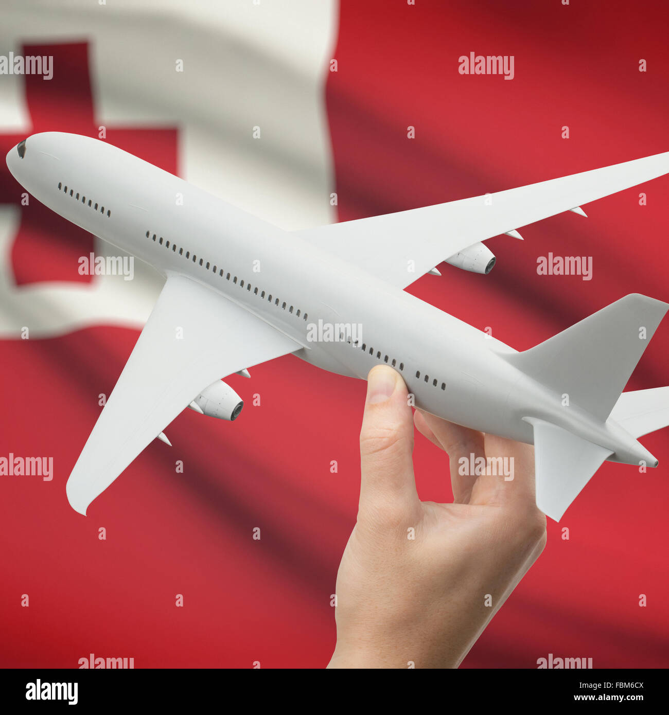 Airplane in hand with national flag on background series - Tonga Stock ...