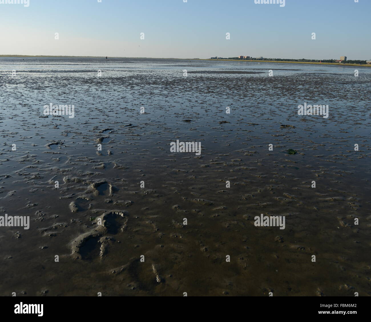 Footprints In The Mud High Resolution Stock Photography and Images - Alamy