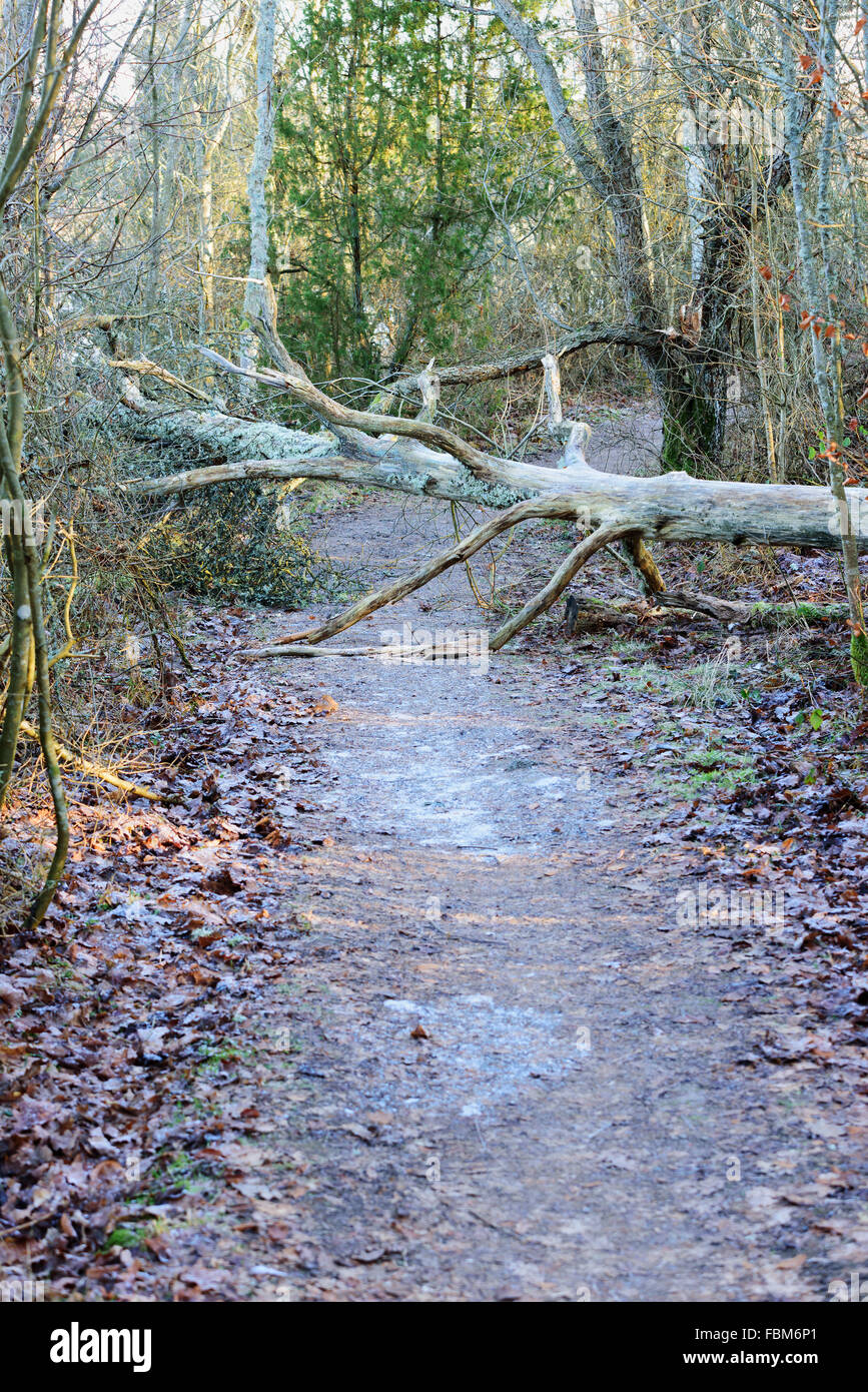 Fallen barrier hi-res stock photography and images - Alamy