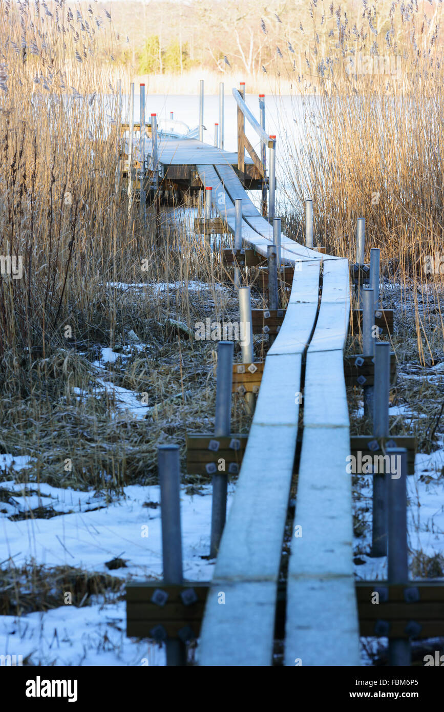A long footbridge towards a pier is covered in frost and surrounded by ...