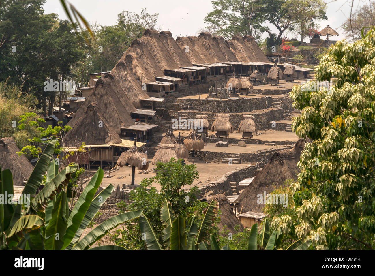 traditional high thatch-roofed houses and shrines in the Ngada village ...