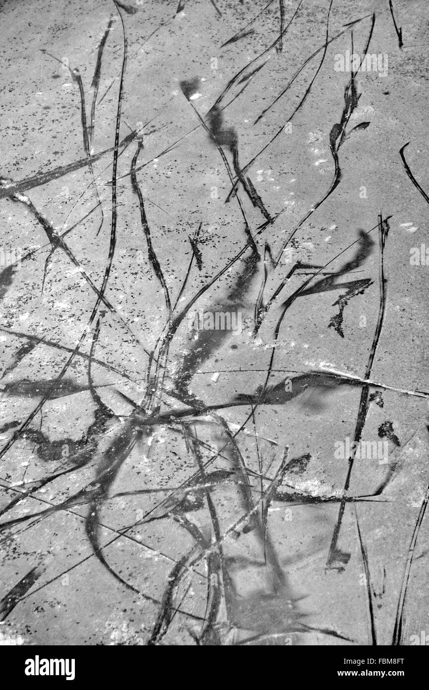 Ice skating surface winter Black and White Stock Photos & Images - Alamy
