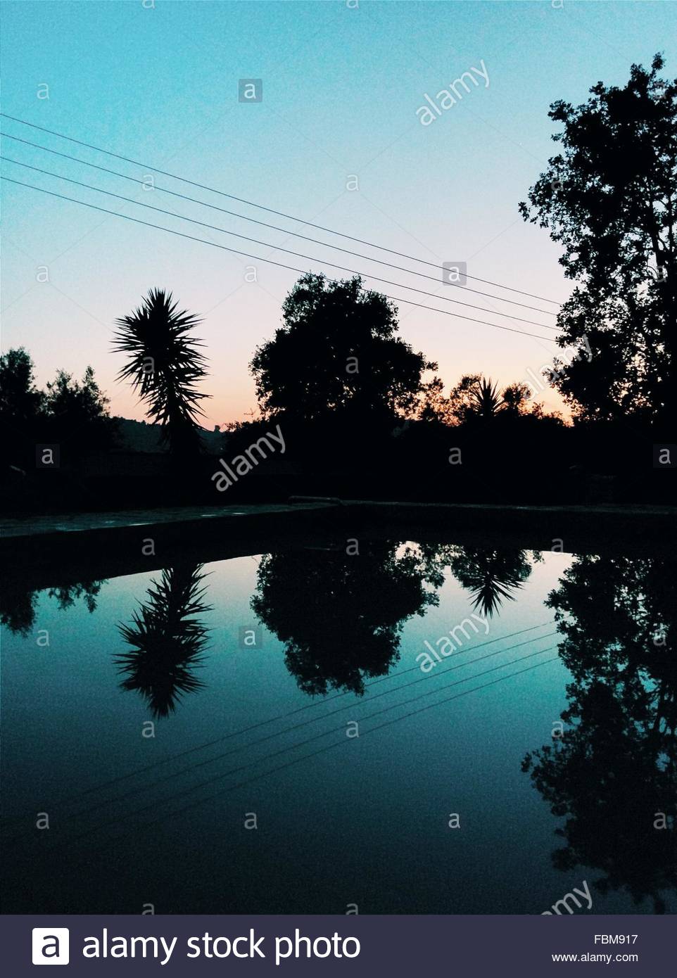 Silhouette Trees In Lake Stock Photos & Silhouette Trees In Lake Stock ...