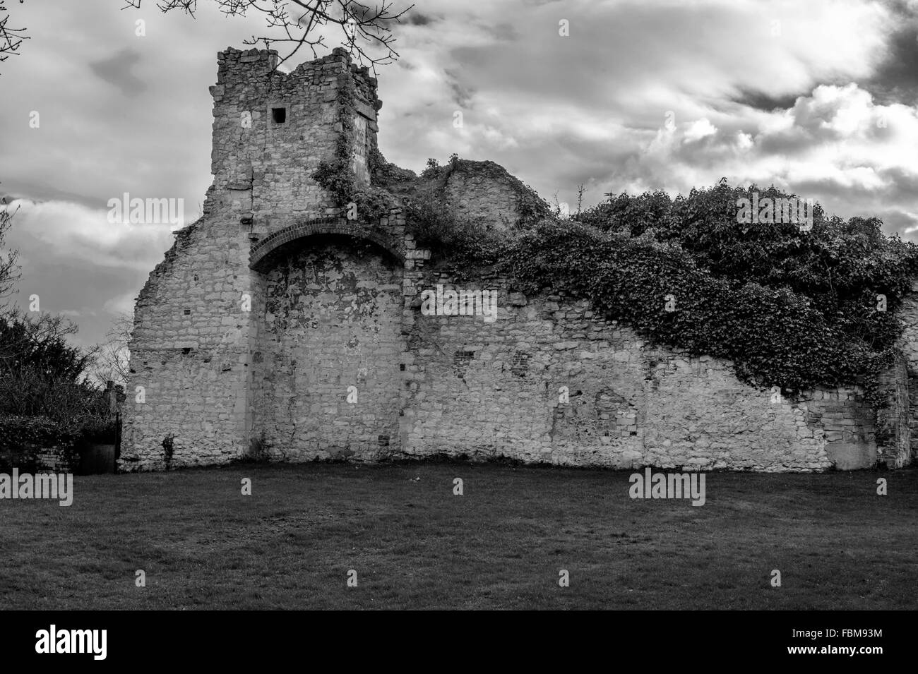 Ruins of Wallingford Castle Stock Photo - Alamy