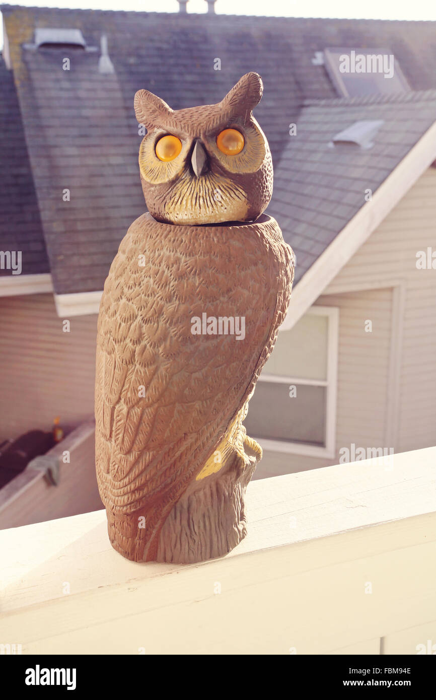 Owl statue keeping watch Stock Photo - Alamy