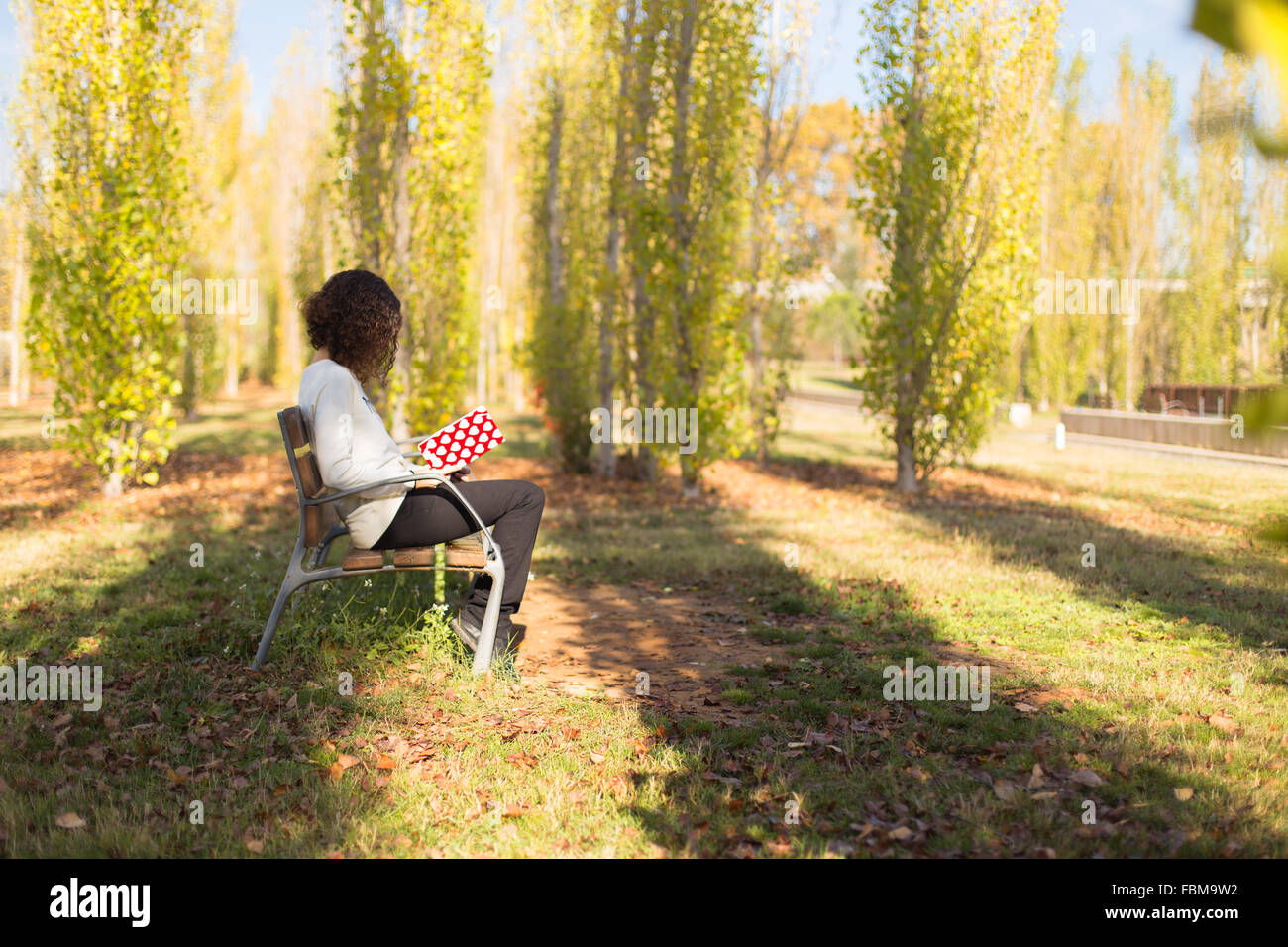 woman sitting on park bench reading a book Stock Photo - Alamy