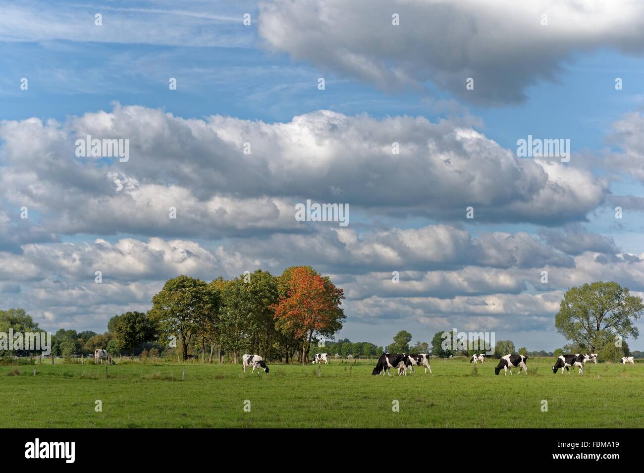 Rural scene in lower saxony hi-res stock photography and images - Alamy