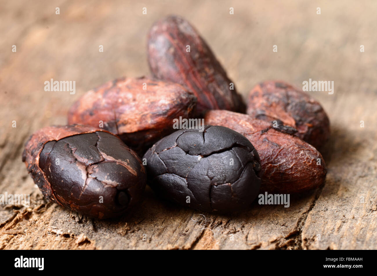 Raw Cocoa beans on a dark background Stock Photo - Alamy
