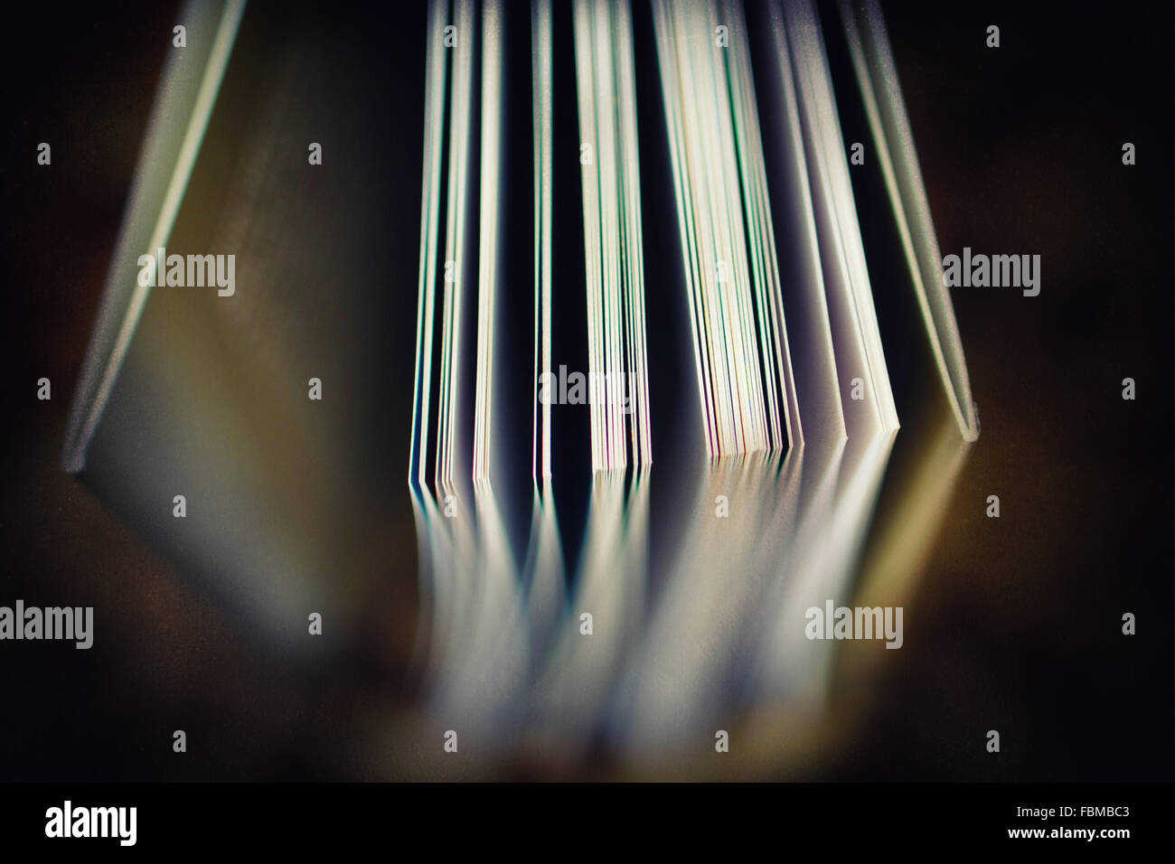 Open book standing up hi-res stock photography and images - Alamy