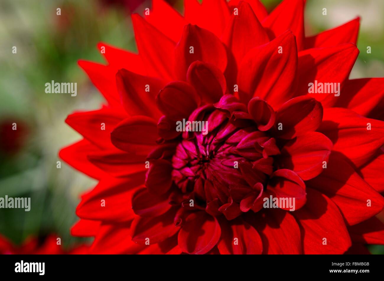 Beautiful spring colour hi-res stock photography and images - Alamy