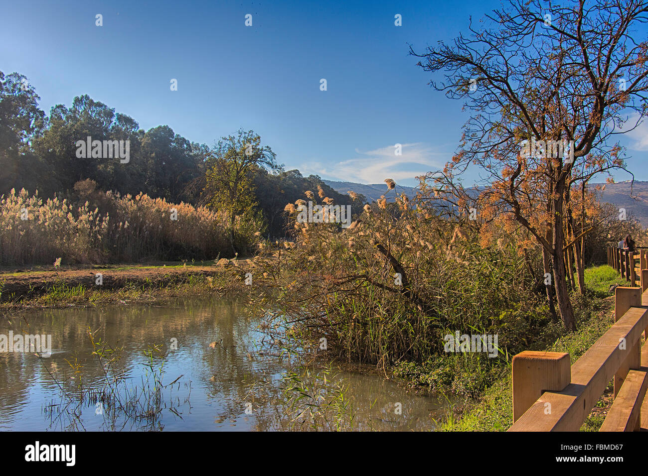 Hula reserve hi-res stock photography and images - Alamy