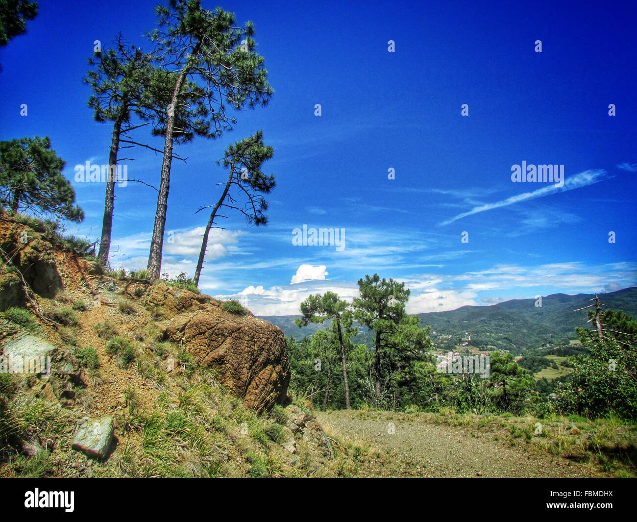 The three trees hi-res stock photography and images - Alamy