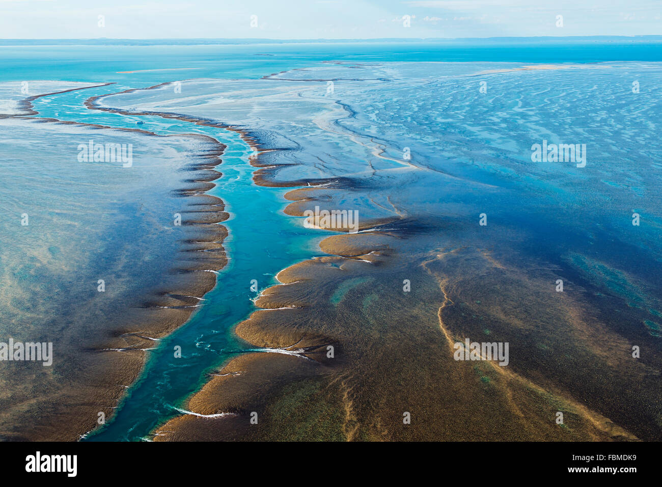 Aerial view of Montgomery Reef, Kimberley, Western Australia, Australia ...
