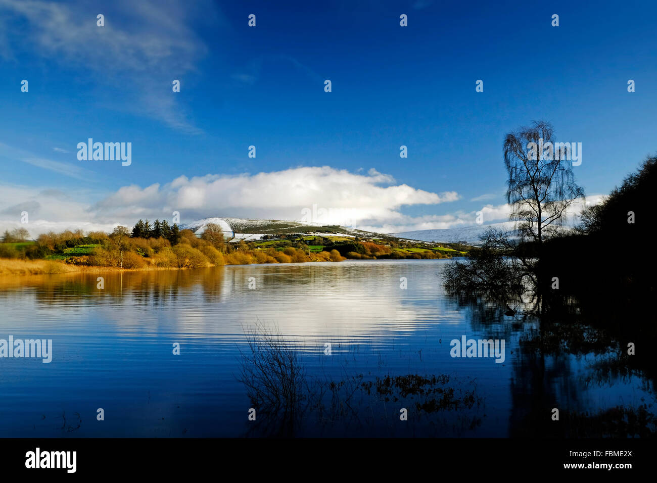 Blessington Lakes High Resolution Stock Photography and Images - Alamy