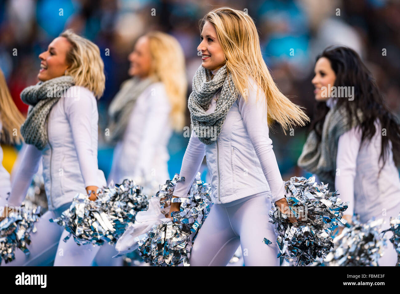 Carolina panthers topcats cheerleaders during hi-res stock photography ...