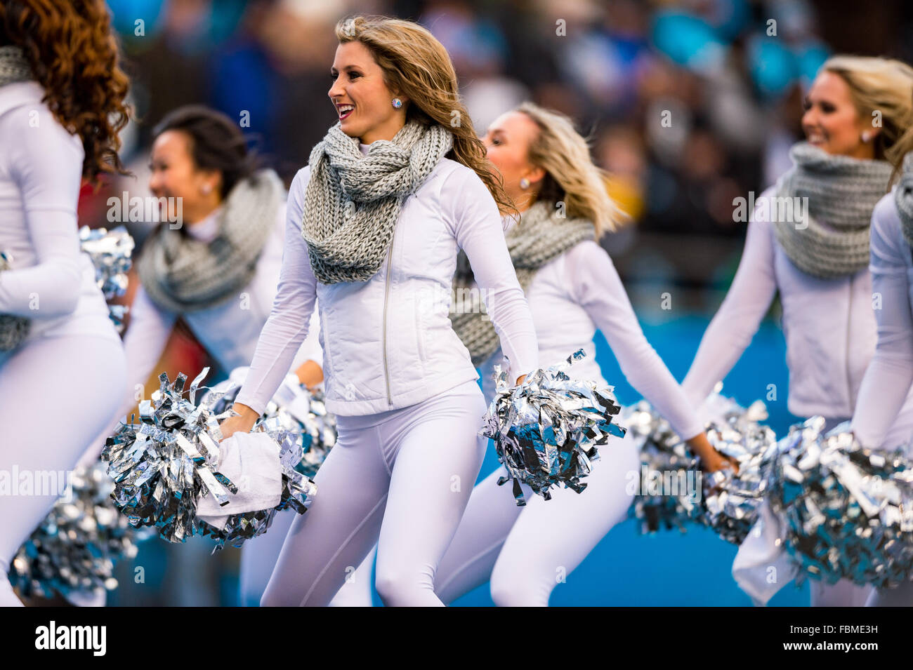 Carolina panthers topcats cheerleaders during hi-res stock photography ...