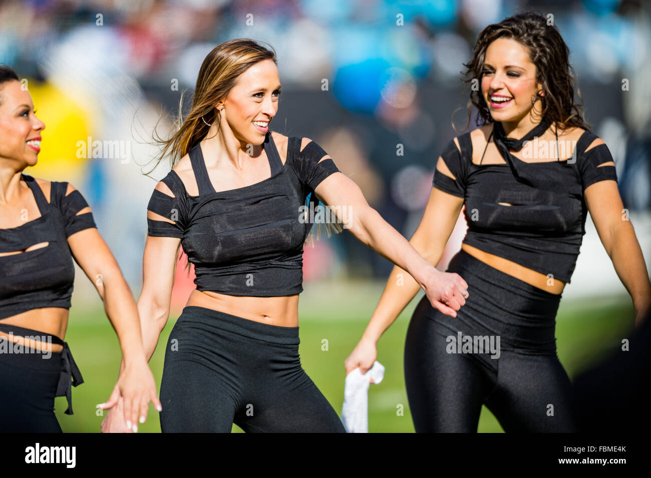 Carolina panthers topcats cheerleaders during hi-res stock photography ...