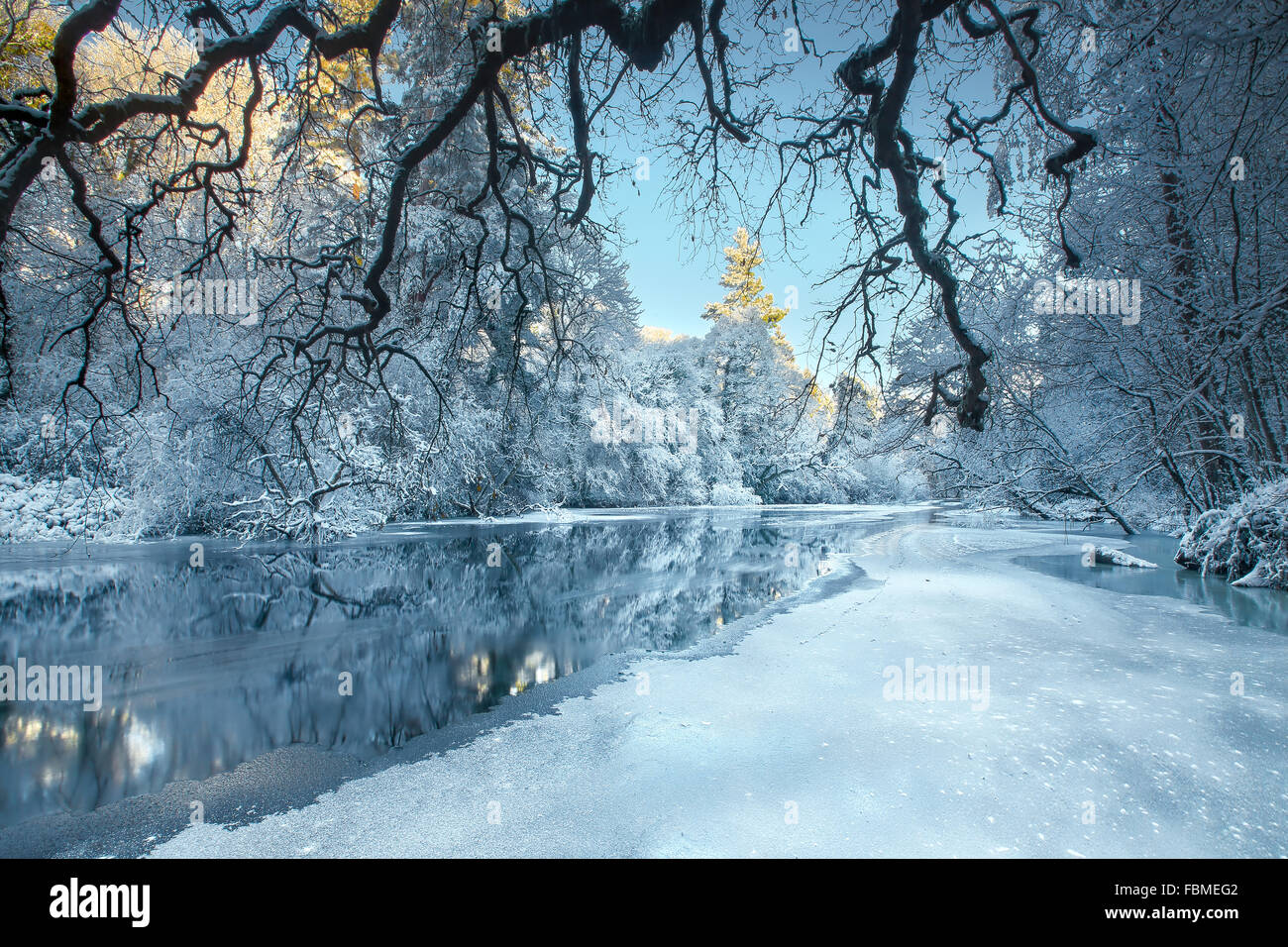 Trees with river hi-res stock photography and images - Alamy