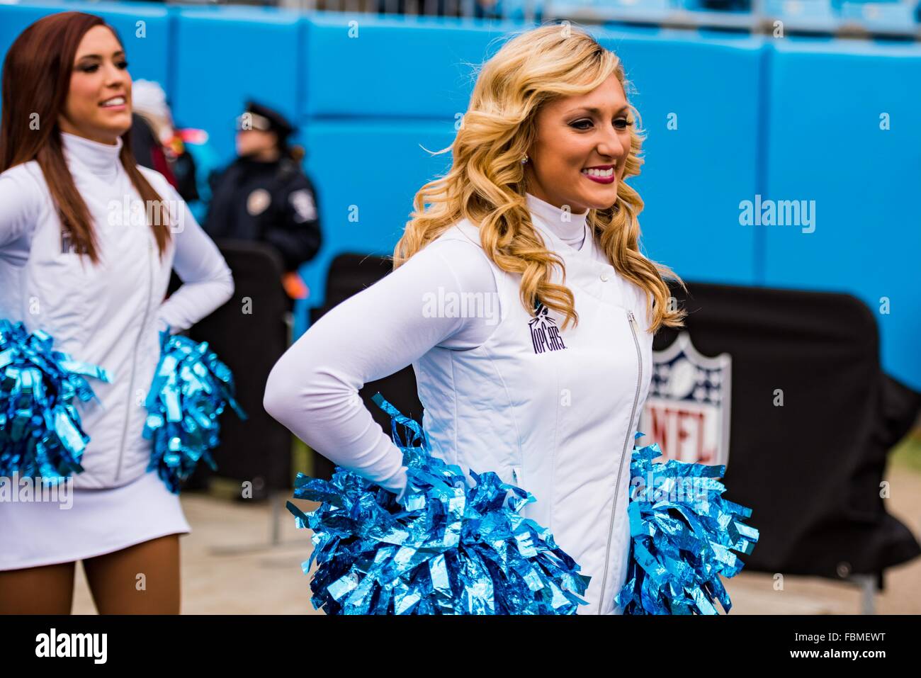 Carolina panthers topcats cheerleaders during hi-res stock photography ...
