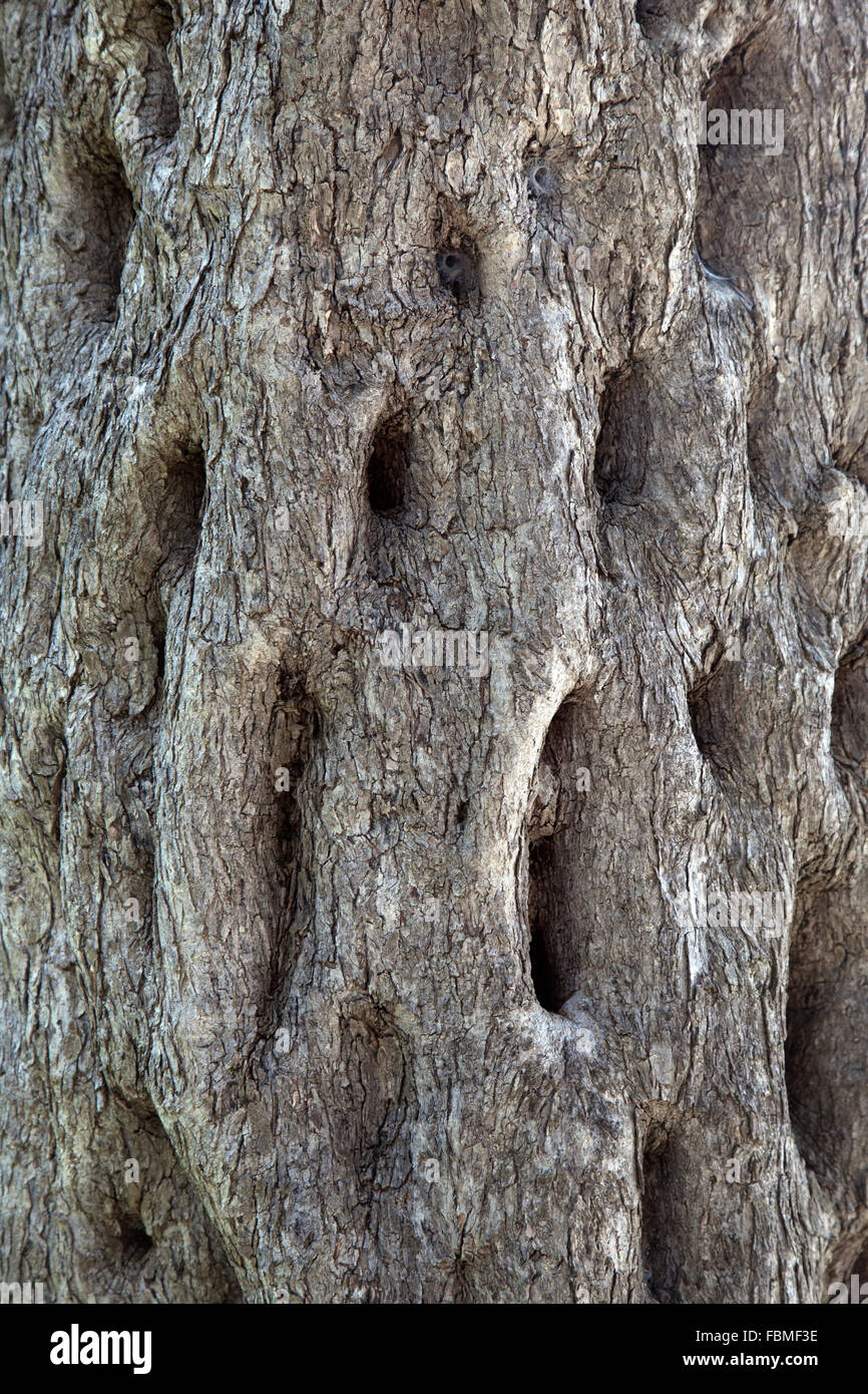 Bumpy texture hi-res stock photography and images - Alamy