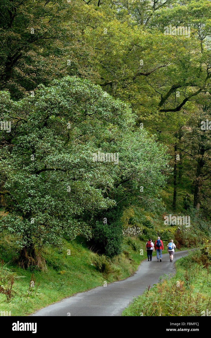 Castle Crag walk, The Lake District National Park, United Kingdom Stock ...