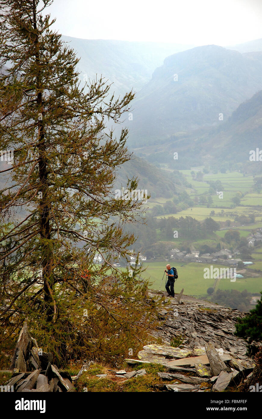 Castle Crag walk, The Lake District National Park, United Kingdom Stock ...