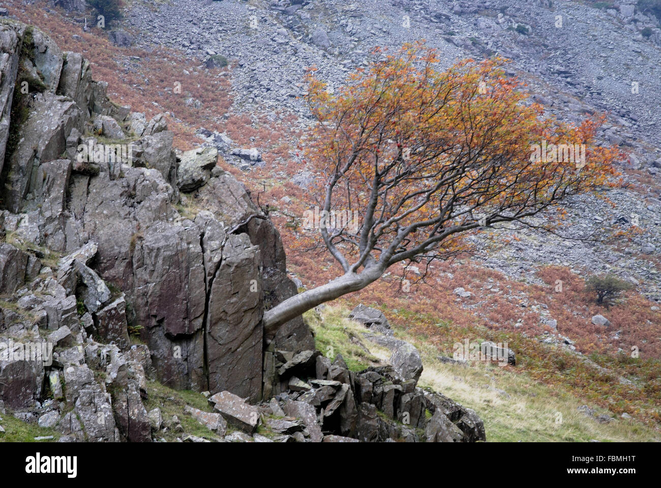 View from Castle Crag walk, The Lake District National Park, United ...