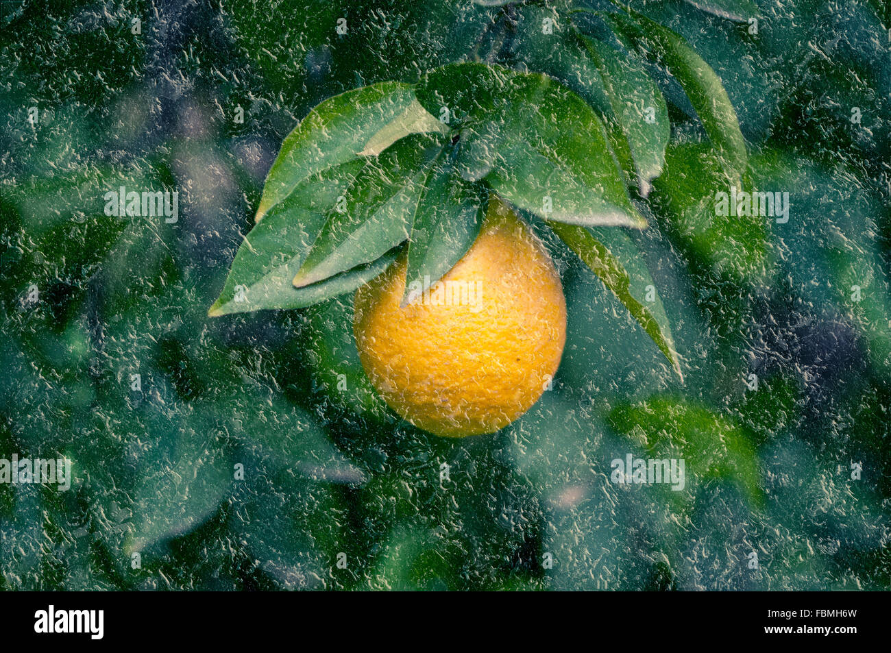 Raining drops hi-res stock photography and images - Alamy