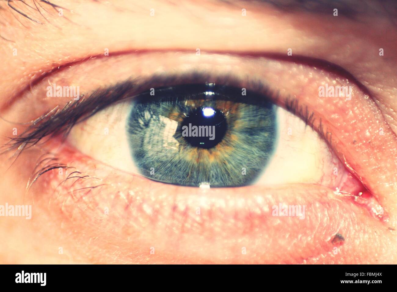 Human too close hi-res stock photography and images - Alamy
