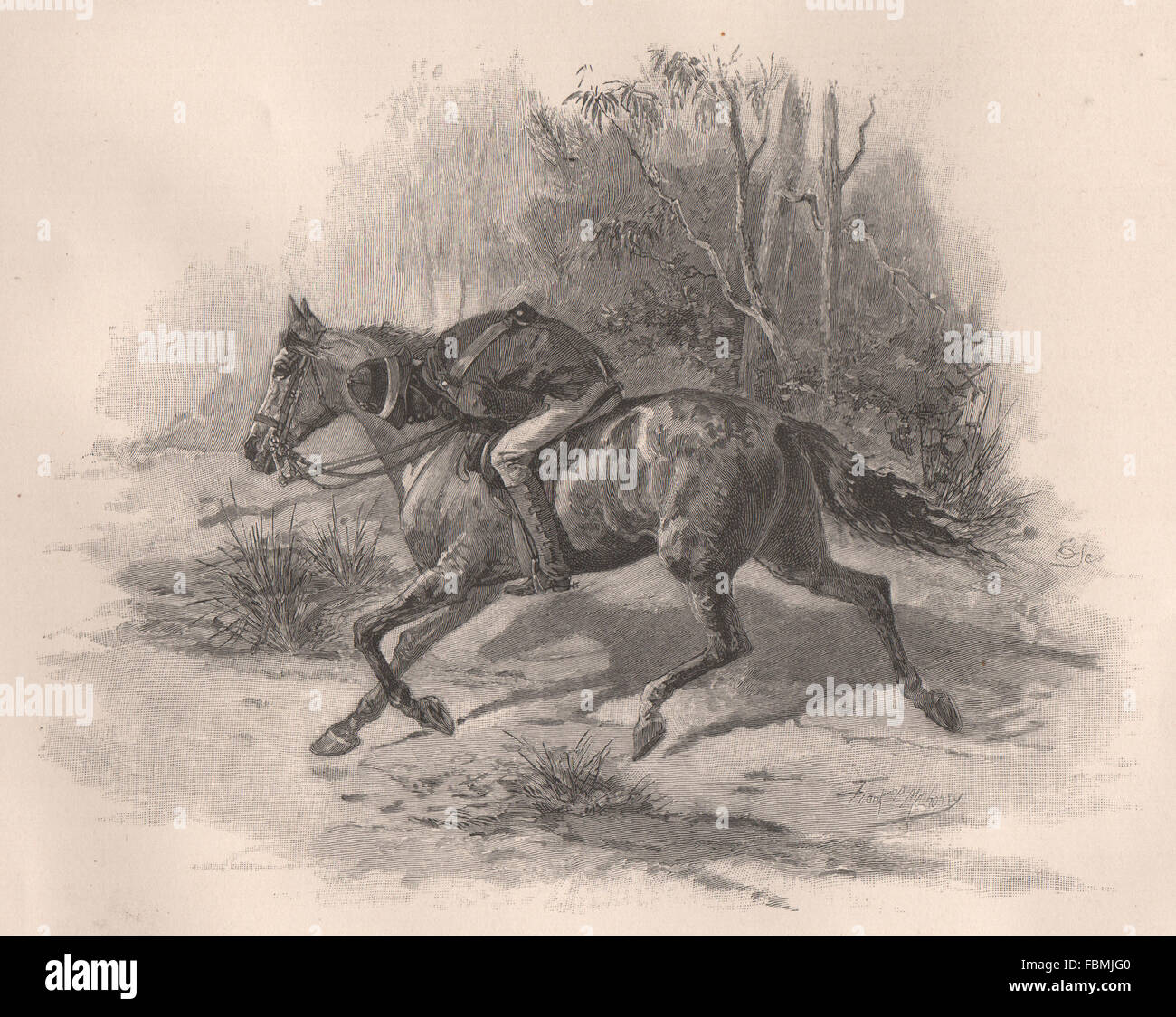 A black tracker. Australia, antique print 1888 Stock Photo - Alamy