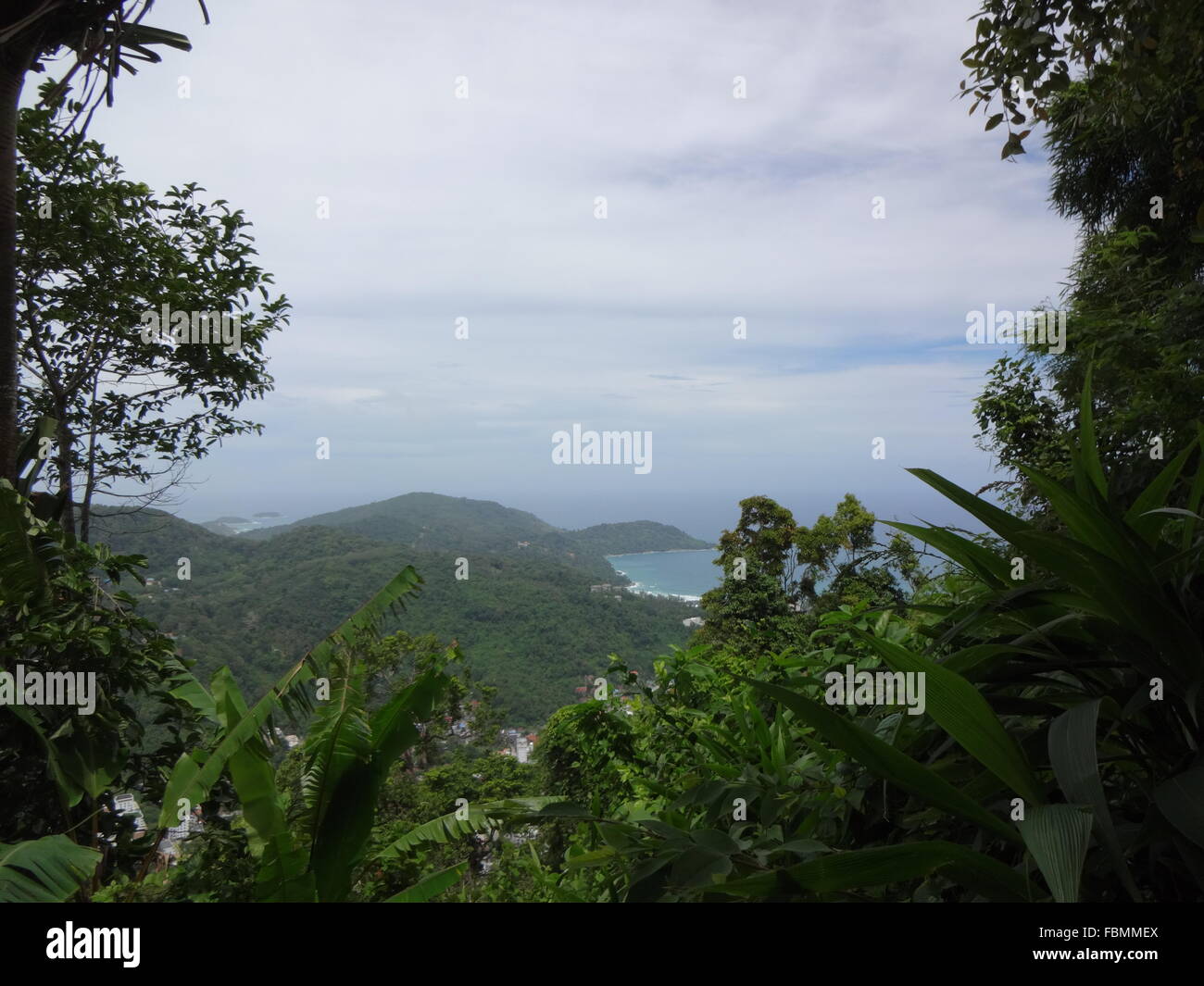 Landscape Of Rainforest And Beach Stock Photo - Alamy