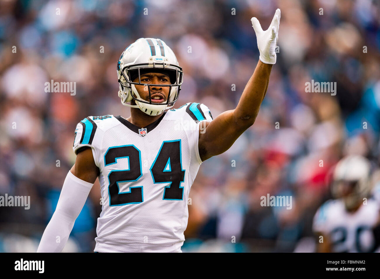 Charlotte, North Carolina, USA. 17th January, 2016. Carolina Panthers ...