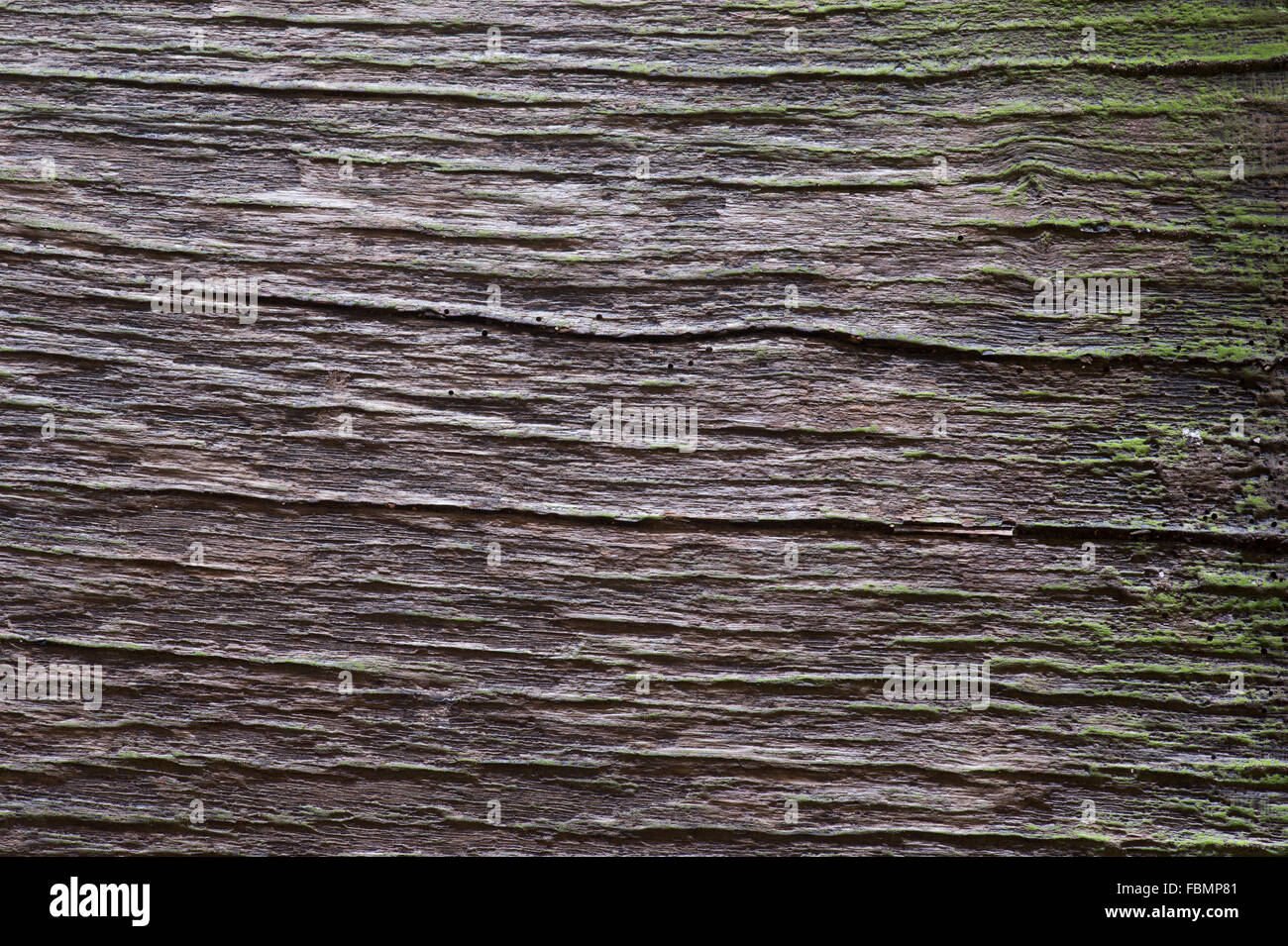 Old weathered wooden oak garden seat texture Stock Photo - Alamy