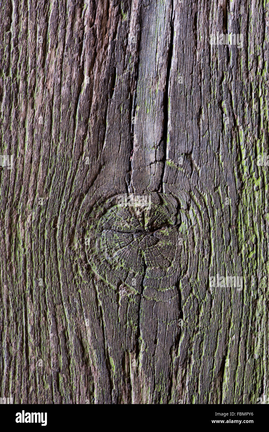 Old weathered wooden oak garden seat texture Stock Photo - Alamy
